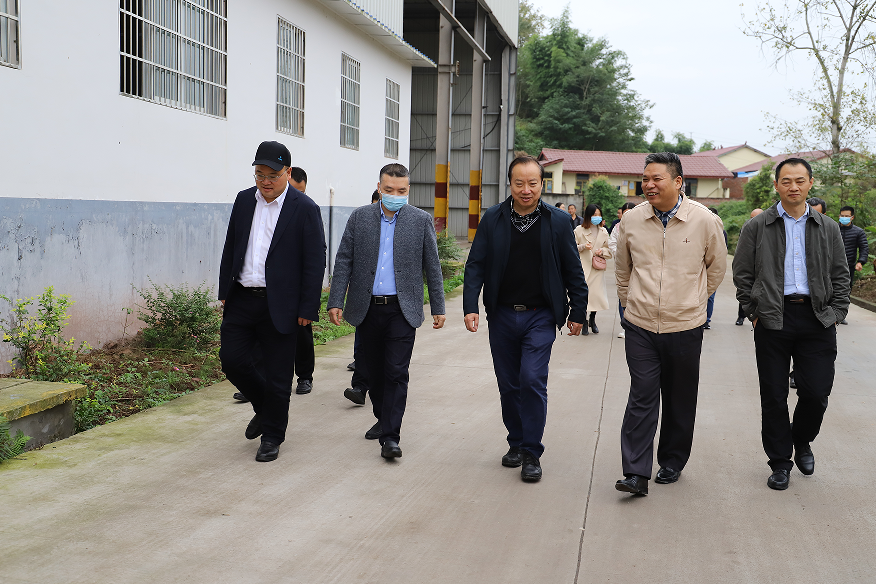 四川省农业农村厅调研指导自贡市大安区创建省五星级现代农业园区预申报工作 封面新闻